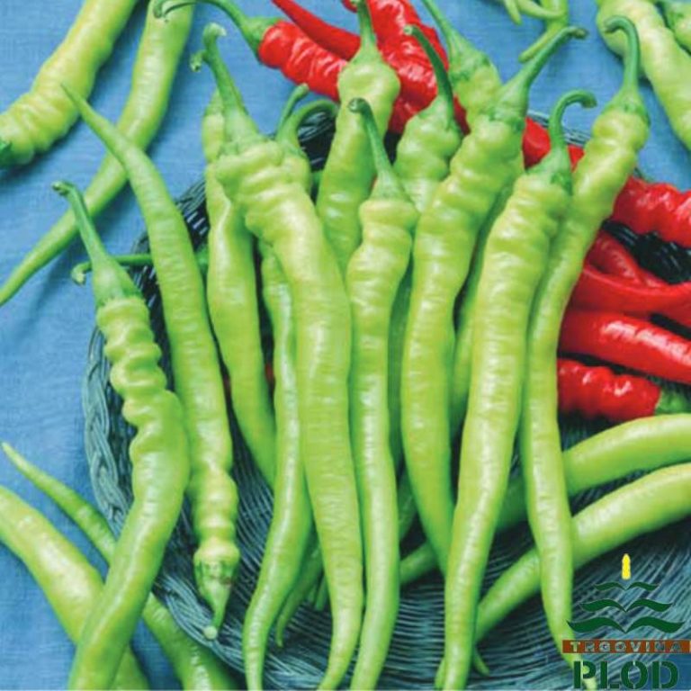 Feferoni SLATKI - Trgovina Plod