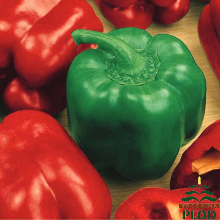 Paprika KALIFORNIJSKO ČUDO - Trgovina Plod
