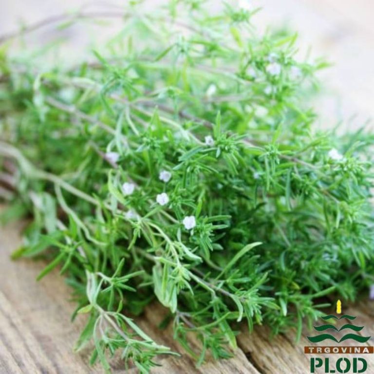 Čubar - Trgovina Plod