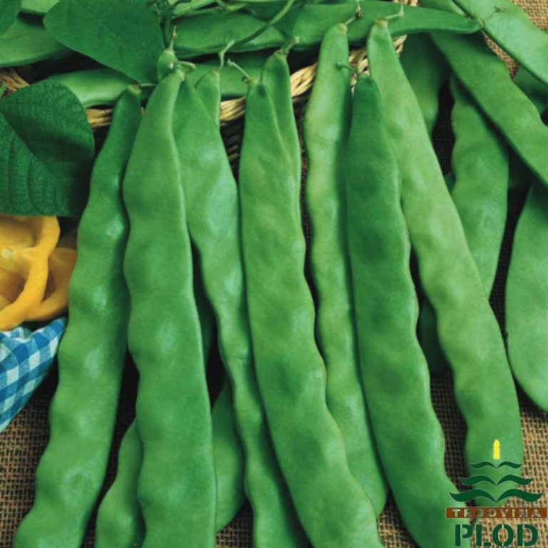 Mahune visoke SUPERMARCONI 100 g - Trgovina Plod