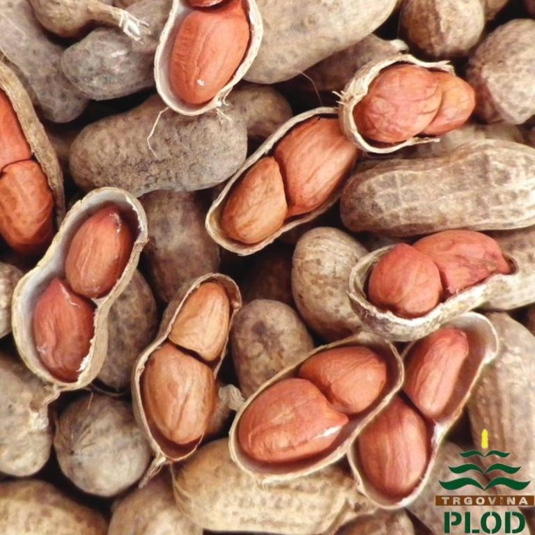 KIKIRIKI - Trgovina Plod